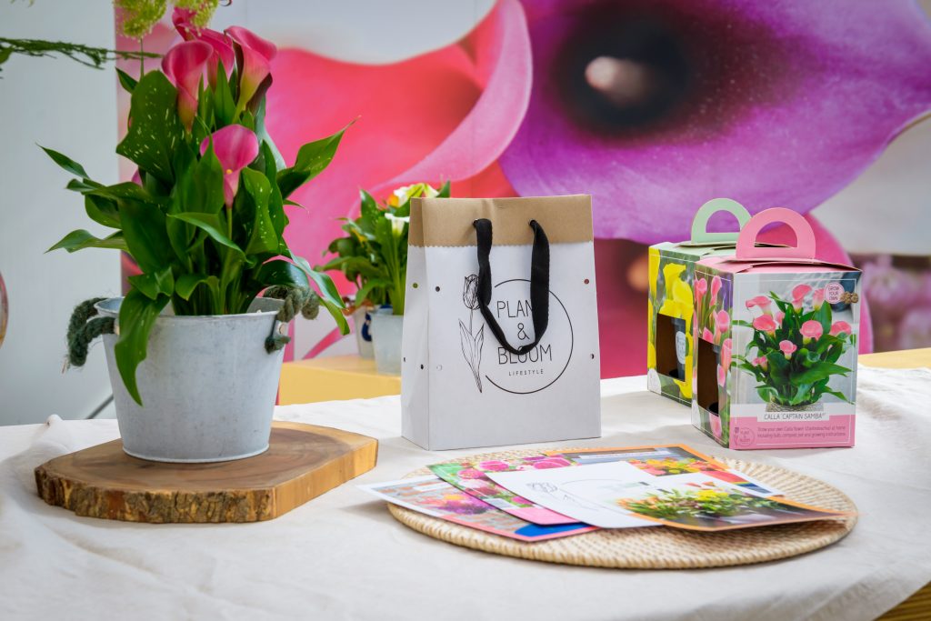 The Perfect Flower Bulb Gifts from Holland | Plant & Bloom