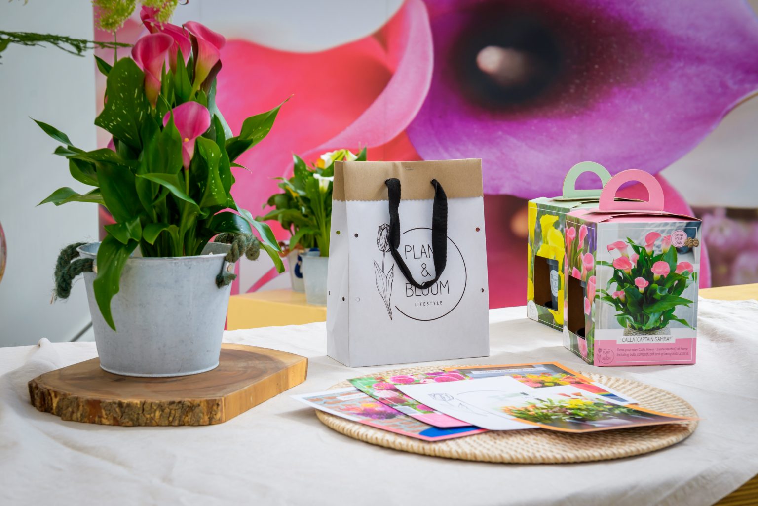 The Perfect Flower Bulb Gifts from Holland | Plant & Bloom